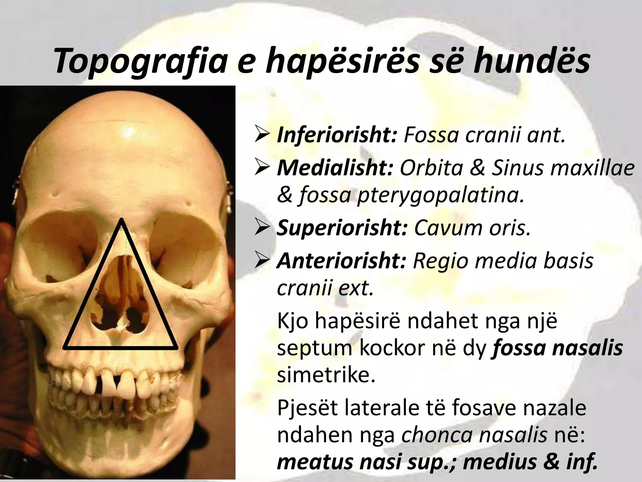 Regjionet e kafkes | PPSX