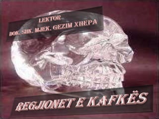 Regjionet e kafkes | PPSX