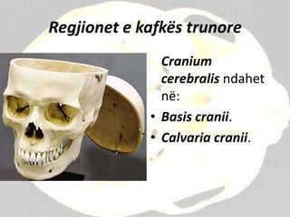 Regjionet e kafkes | PPSX