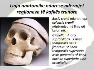 Regjionet e kafkes | PPSX