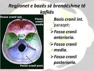 Regjionet e kafkes | PPSX