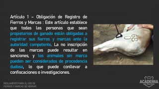 REGLAMENTO DE FIERROS Y MARCAS DE HERRAR GRUPO 7.pdf