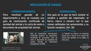 REGLAMENTO DE FIERROS Y MARCAS DE HERRAR GRUPO 7.pdf