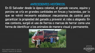 REGLAMENTO DE FIERROS Y MARCAS DE HERRAR GRUPO 7.pdf