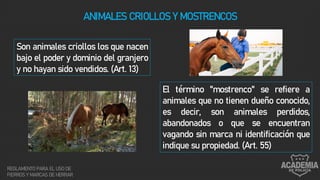 REGLAMENTO DE FIERROS Y MARCAS DE HERRAR GRUPO 7.pdf