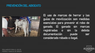 REGLAMENTO DE FIERROS Y MARCAS DE HERRAR GRUPO 7.pdf