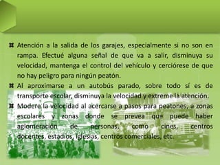 Reglas Para Evitar El Atropello De Peatones Pptx