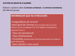 Regne dels animals | PPTX