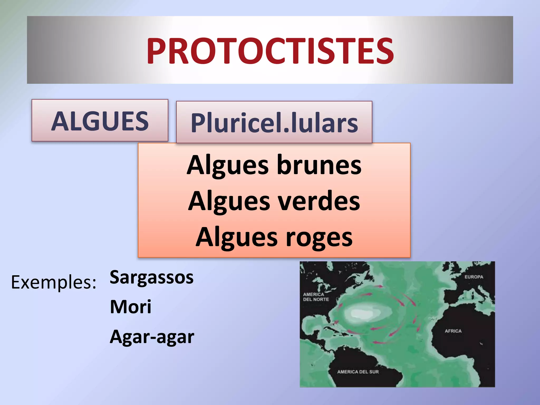 Regnes Moneres Protoctists Fongs_2aSesion.pptx
