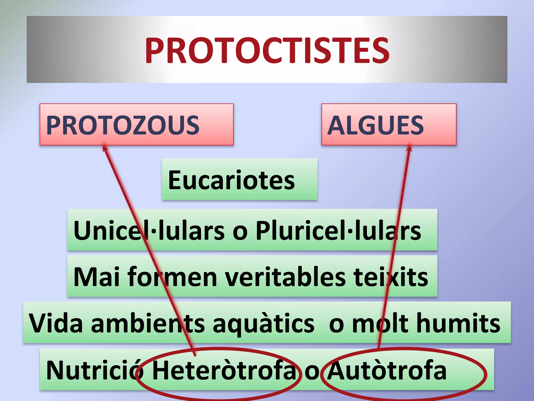 Regnes Moneres Protoctists Fongs_2aSesion.pptx