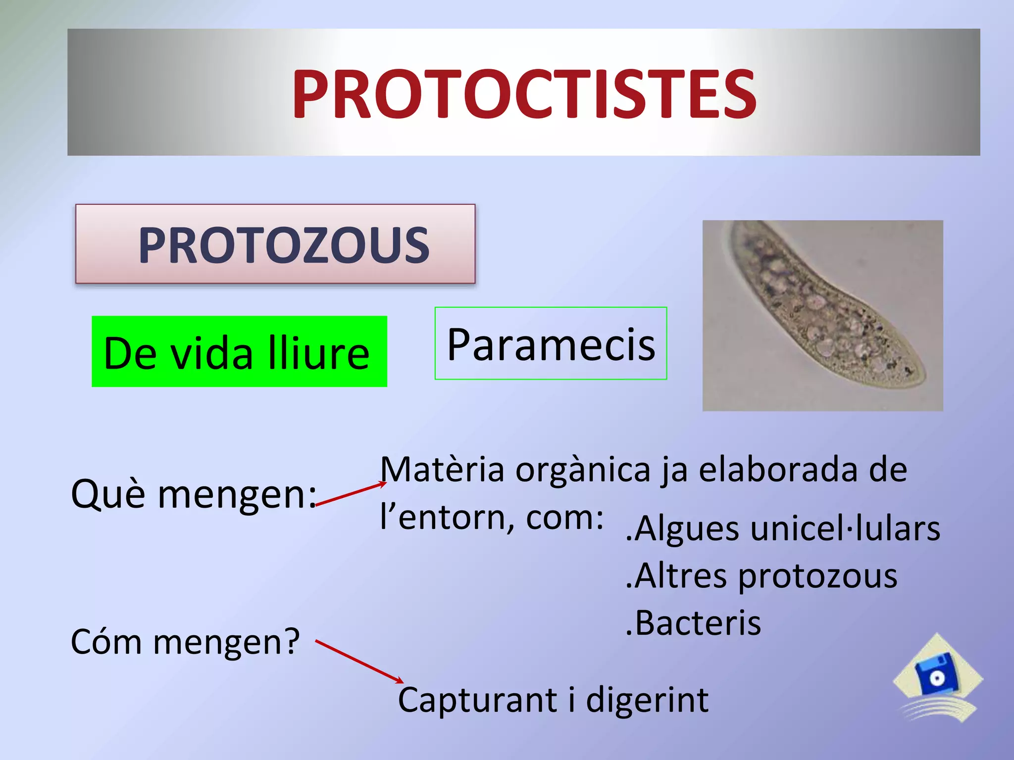 Regnes Moneres Protoctists Fongs_2aSesion.pptx