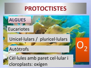 Regnes Moneres Protoctists Fongs_2aSesion.pptx