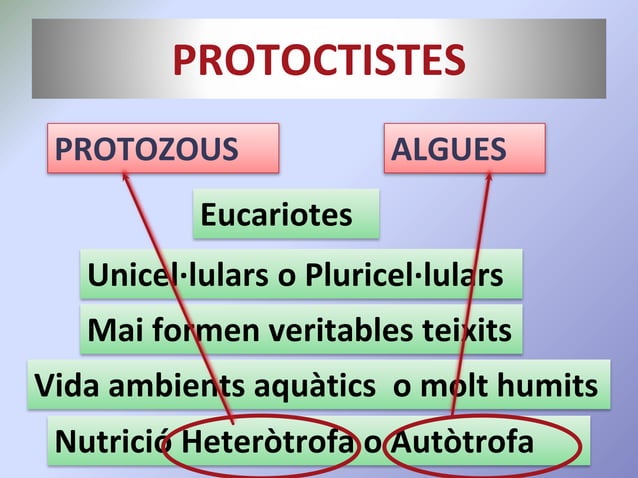 Regnes Moneres Protoctists Fongs_2aSesion.pptx