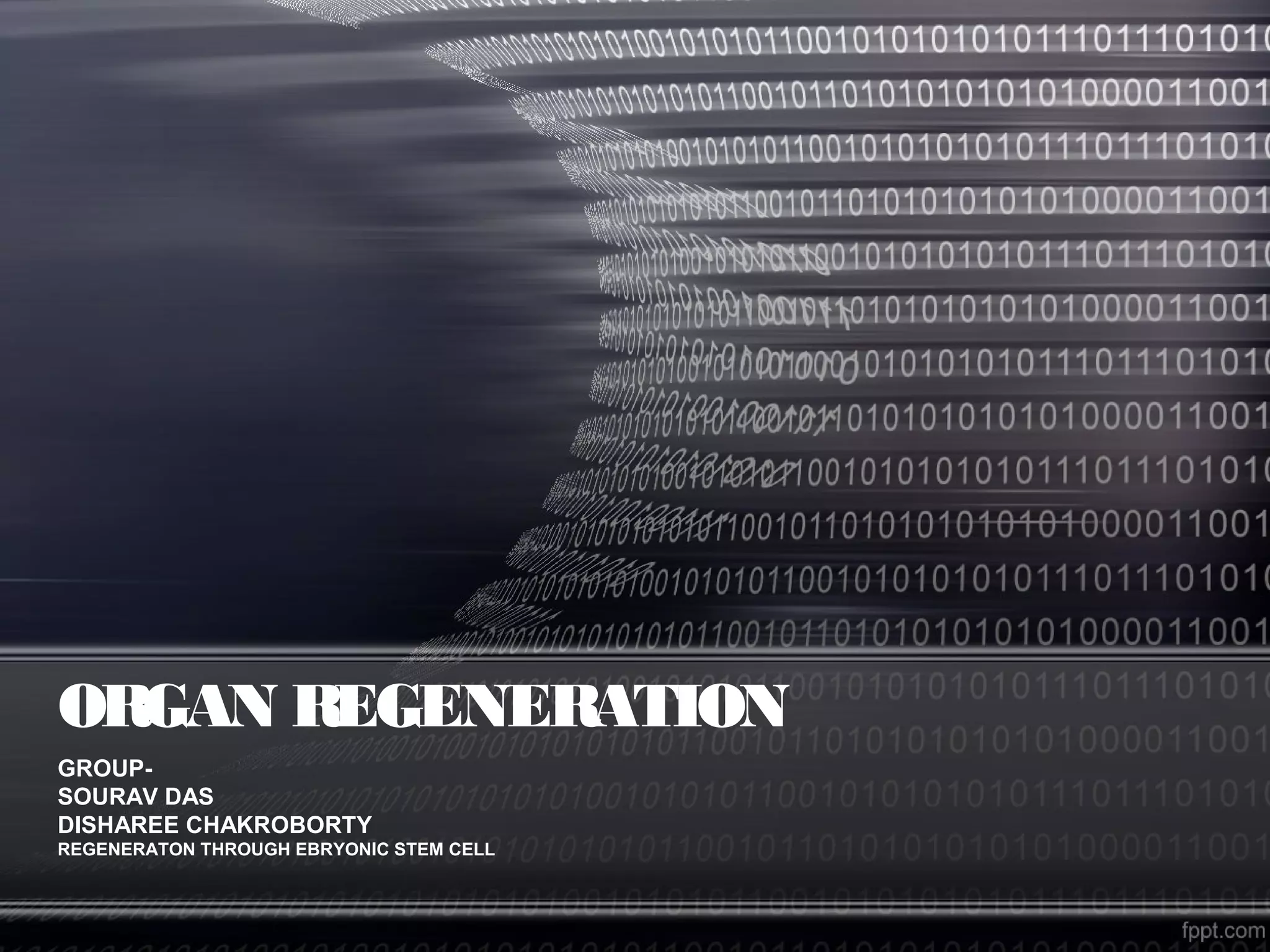 organ regeneration through embryonic stem cell | PPT