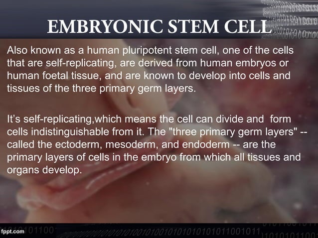 organ regeneration through embryonic stem cell | PPT