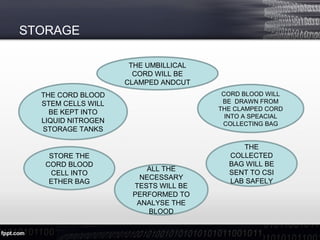 organ regeneration through embryonic stem cell | PPT