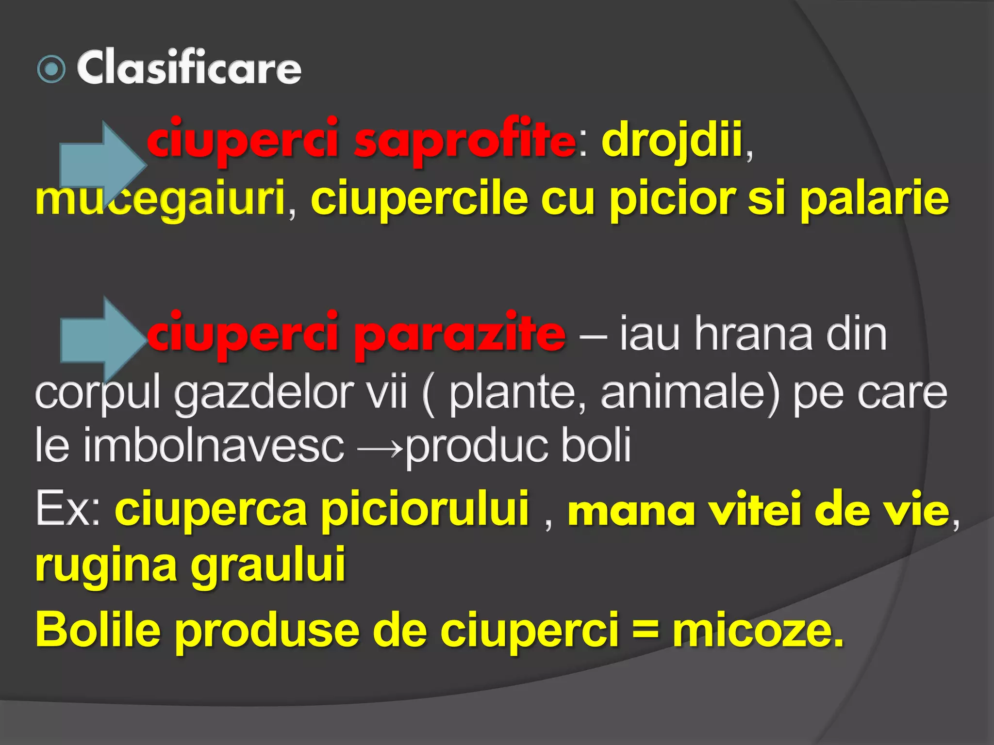 Regnul fungi | PPTX
