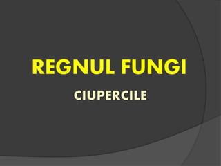 Regnul fungi | PPTX