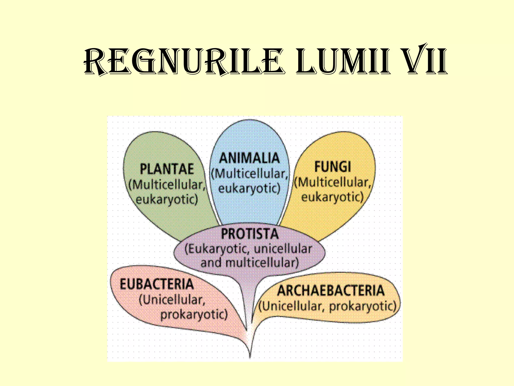 Regnul fungi aplicatie clasa | PPT