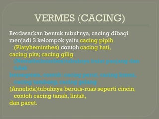 REGNUM ANIMALIA biologi kelas 7 smp klasifikasi | PPTX