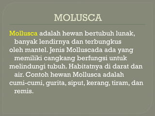 REGNUM ANIMALIA biologi kelas 7 smp klasifikasi | PPTX