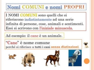 Regole grammatica | PPT