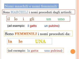 Regole grammatica | PPT