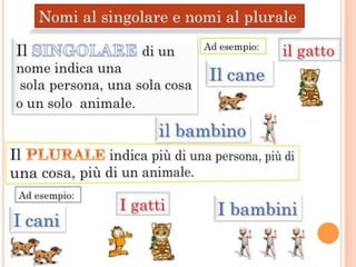 Regole grammatica | PPT