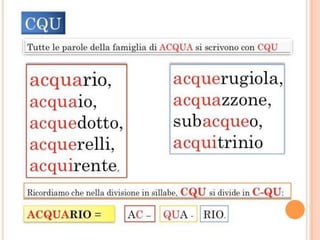 Regole grammatica | PPT
