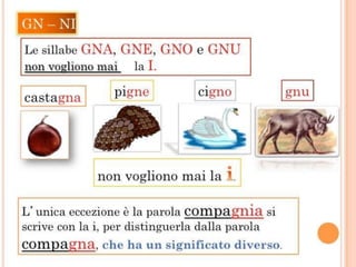 Regole grammatica | PPT