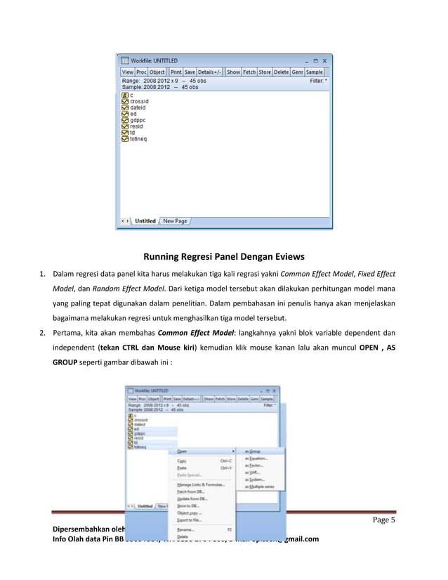 Regresi data panel dengan eviews | PDF