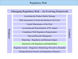 Regulatory Risk | PPT