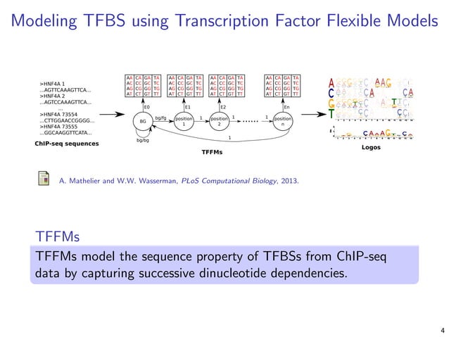 Transcription Factor Binding Site Prediction In Vivo Using Dna Sequence And Shape Features Ppt
