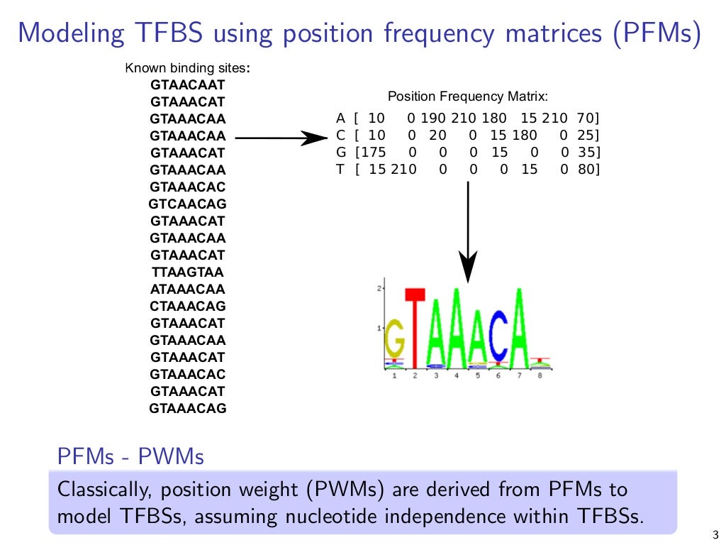 Transcription factor binding site prediction in vivo using DNA sequen… Transcription factor binding site prediction in vivo using DNA sequen…