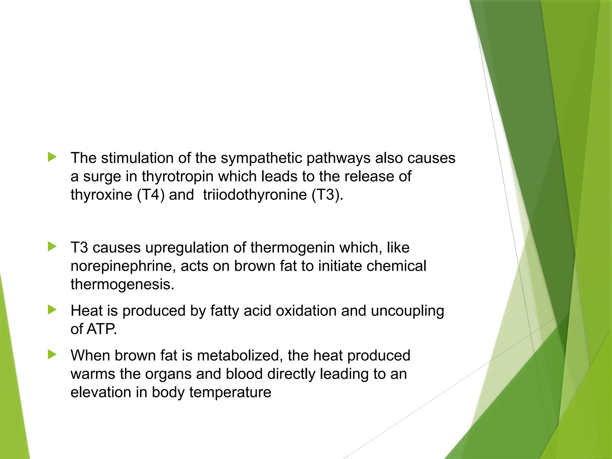 regTEMPERATURE h.pptxtemperature regulation in newborn. | PPTX