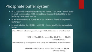 Regualtion of Acid base balance.pptx
