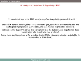 Regulacija aktivnosti-gena compress (1) | PPT