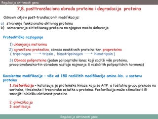 Regulacija aktivnosti-gena compress (1) | PPT
