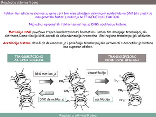 Regulacija aktivnosti-gena compress (1) | PPT