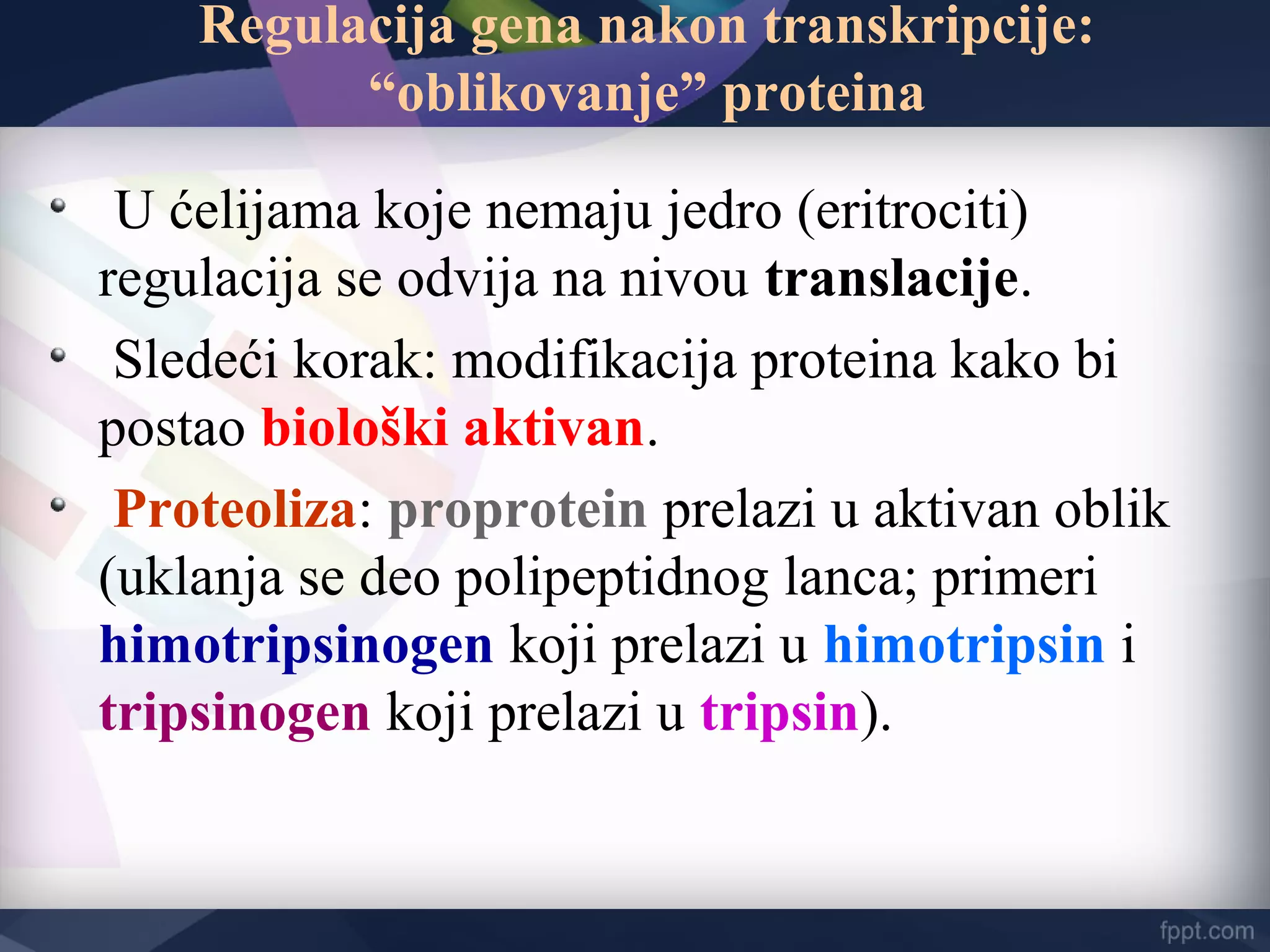 Regulacija aktivnosti gena | PPT
