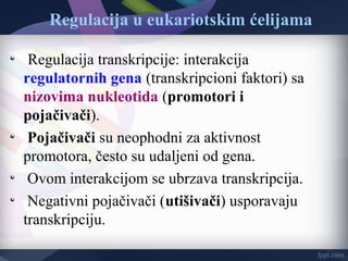Regulacija aktivnosti gena | PPT