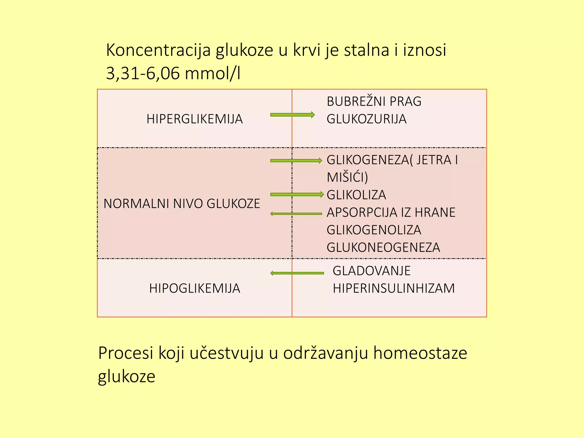 Regulacija homeostaze glukoze | PPTX