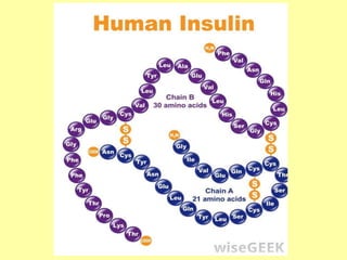 Regulacija homeostaze glukoze | PPTX