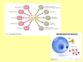Regulacija homeostaze glukoze | PPTX