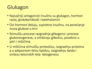 Regulacija homeostaze glukoze | PPTX