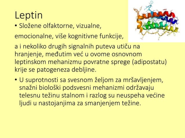 Regulacija homeostaze glukoze | PPTX