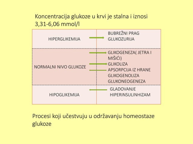 Regulacija homeostaze glukoze | PPTX