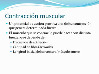 Regulación de la fuerza muscular | PPTX