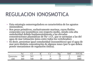 Regulación ionosmótica y ureosmótica | PPTX