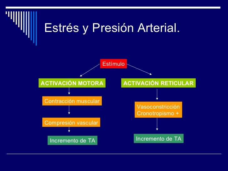 Regulación nerviosa de la circulación y control rápido de la presión ...